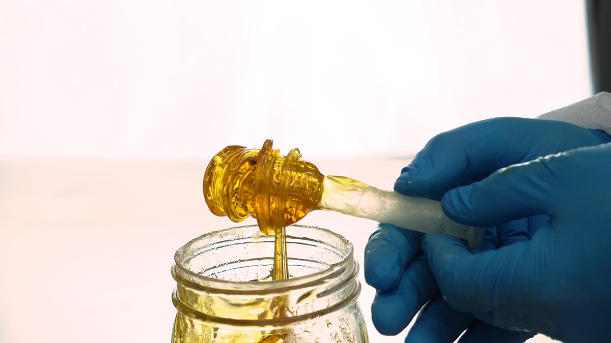 A Complete Guide to CO2 Extraction - extraktLAB