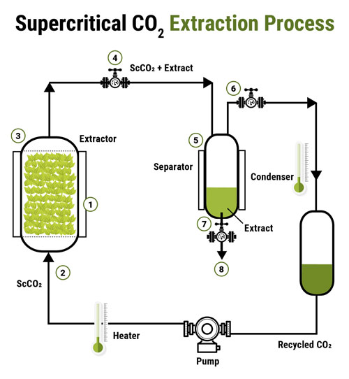 Closed-Loop CO2 Extraction: How to Achieve Optimal Purity