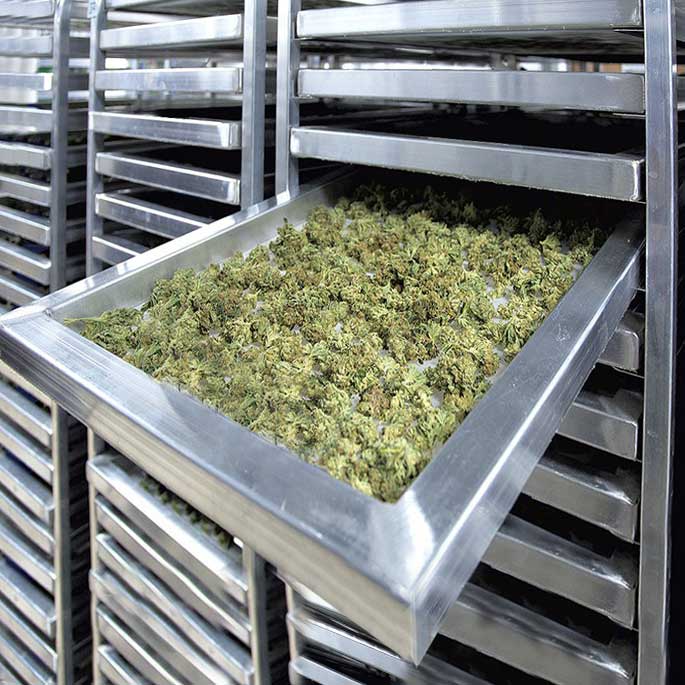 Industrial Drying: A Guide to the Process and Equipment | extraktLAB