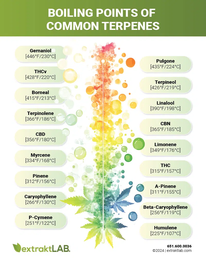 Terpene Temperature Chart: Calculating the Boiling Points